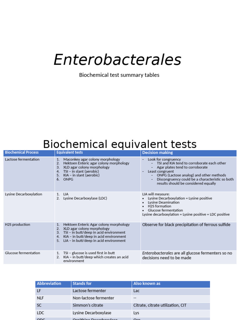 Enterobacterales Summary Tables | PDF | Biochemistry | Chemistry