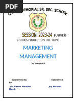 CBSE 12 Commerce Project | PDF