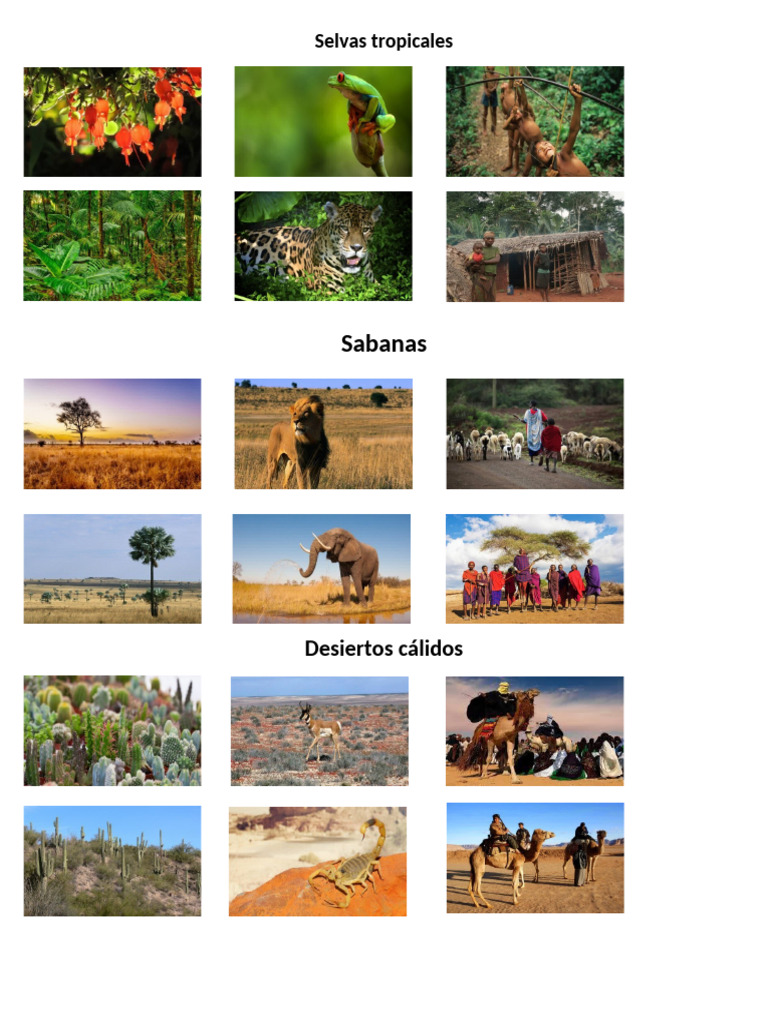 Imagenes Biomas | PDF