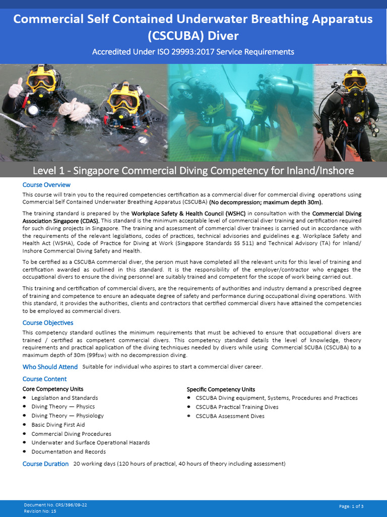 396 Commercial Self Contained Underwater Breathing Apparatus (CSCUBA) Diver - Flyer(2) | PDF ...