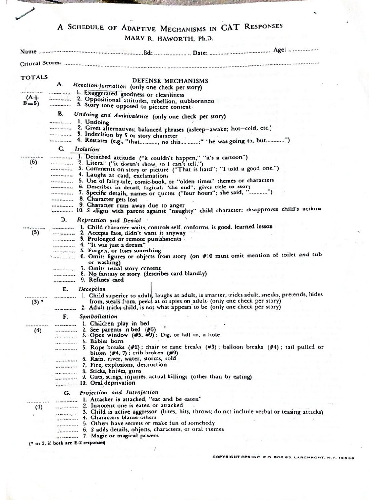 Cat Scorinf Sheet | PDF