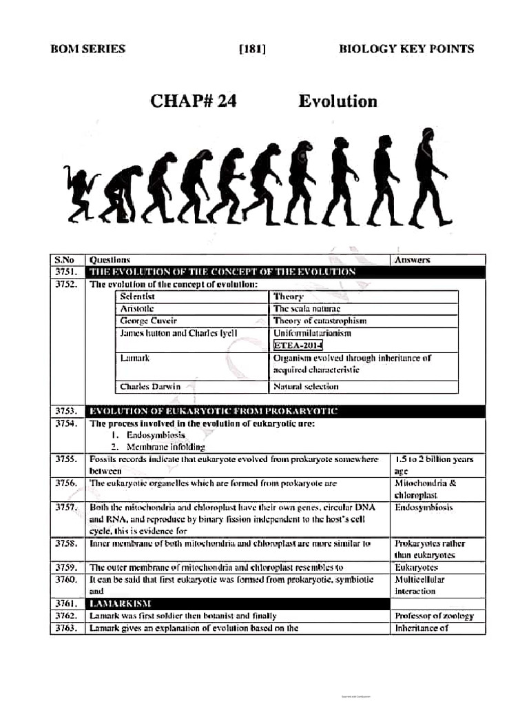 Bom Evolution | PDF