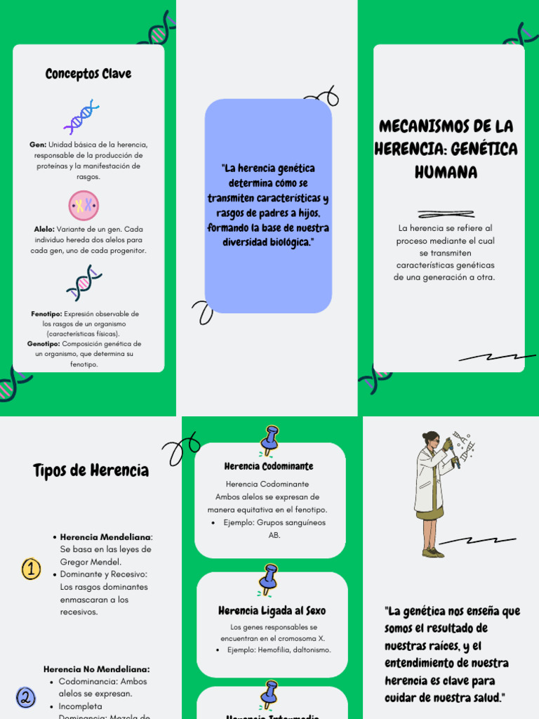 Mecanismos de la Herencia Genética | PDF | Dominancia (Genética) | Alelo