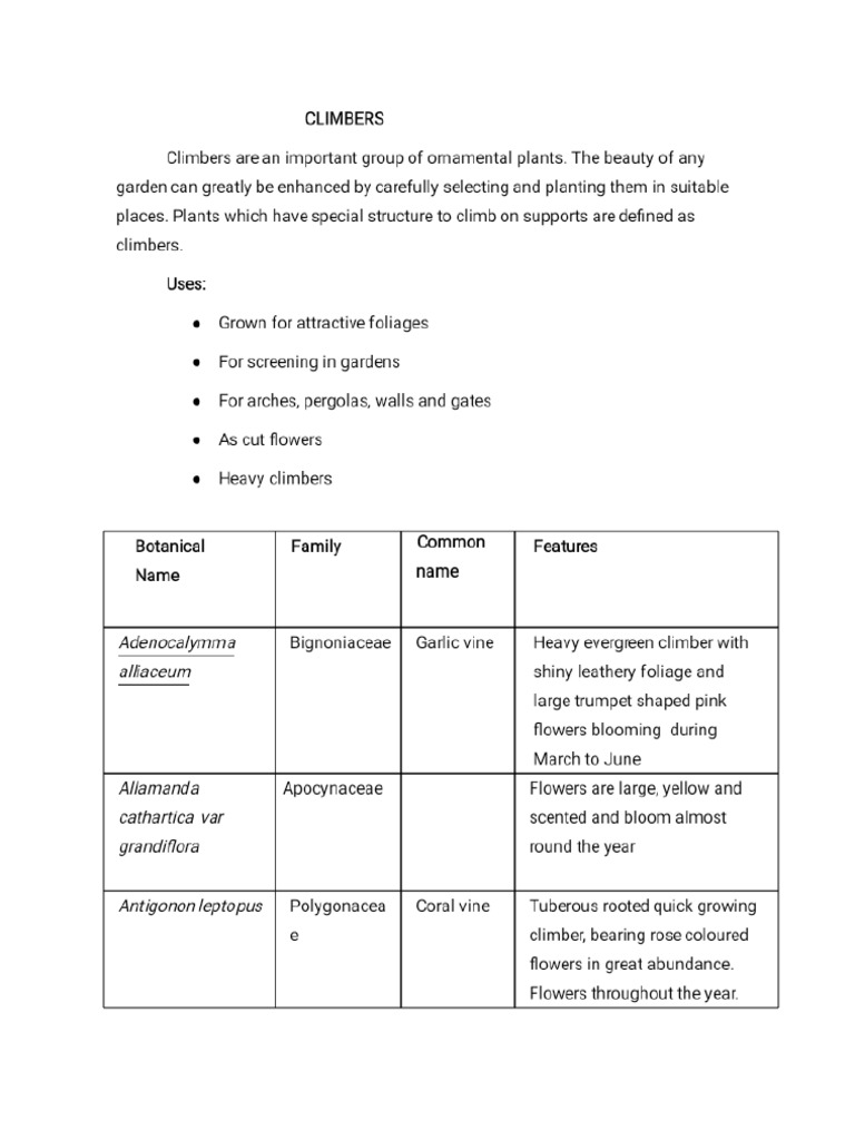 Typed Notes 8 Climber | PDF