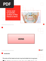 Understanding Batson's Plexus Anatomy | PDF | Vertebra | Vein