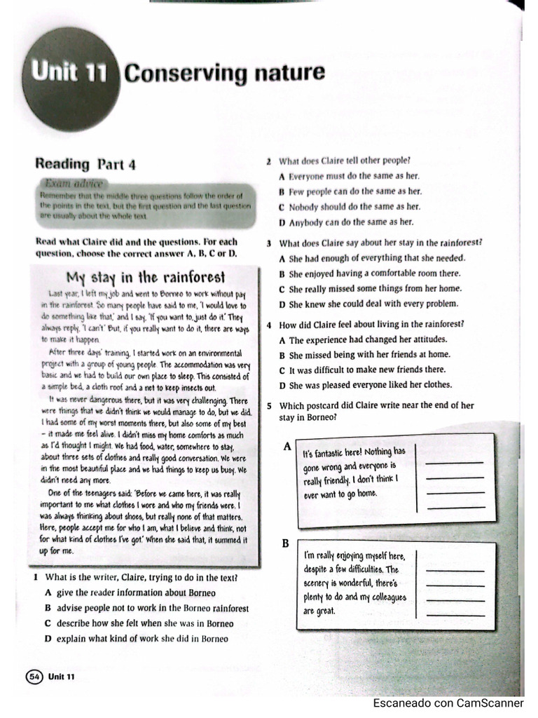 UNIT 11 WORKBOOK EJERCICIOS 72818 | PDF