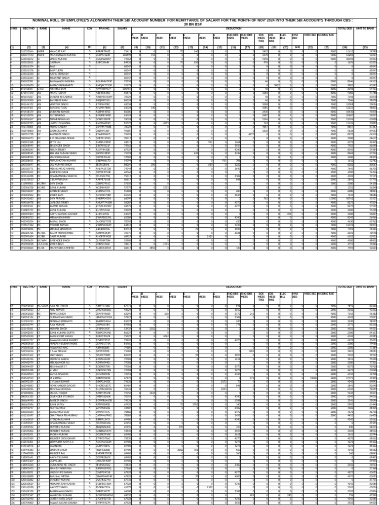 Ngo's Pay For The Month of Nov'2024 | PDF