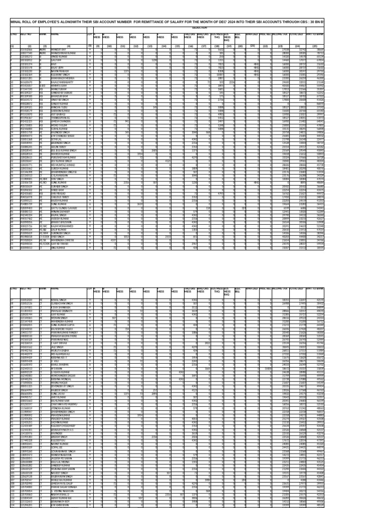 Ngo's Pay For The Month of Dec'2024 | PDF