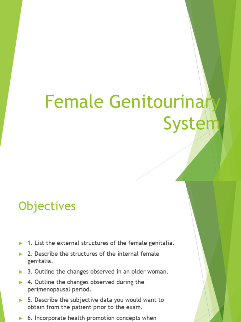 Week-15-Female-Genitourinary-System-1 | PDF | Labia | Vagina