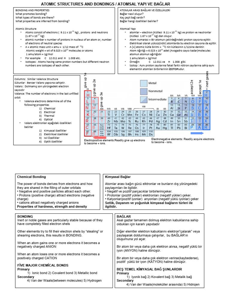 Week 2 Document 4 | PDF