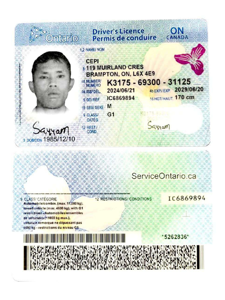 Drive License | PDF