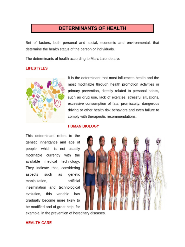 Determinants of Health | PDF