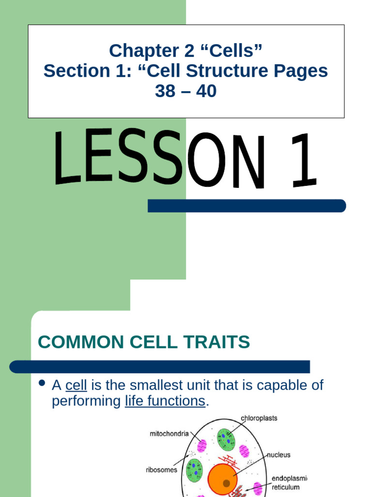 Cell structures lesson1 | PDF