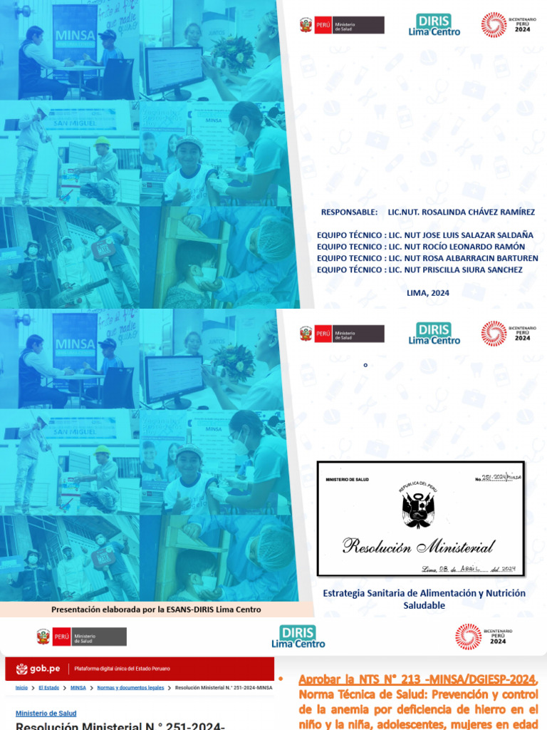 Nueva Normativa Anemia RM 251-2024-Minsa. NTS 213-2024. Modificatoria RM 429-2024-Minsa | PDF ...