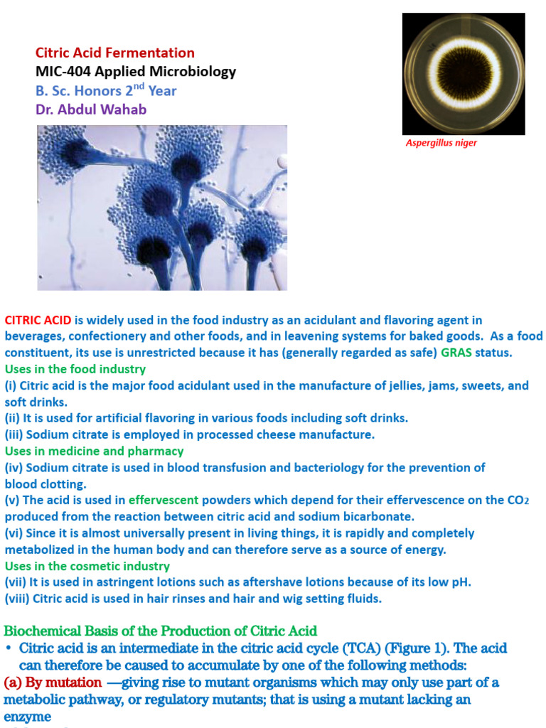 Citric Acid Fermentation MIC404 | PDF | Citric Acid Cycle | Chemistry