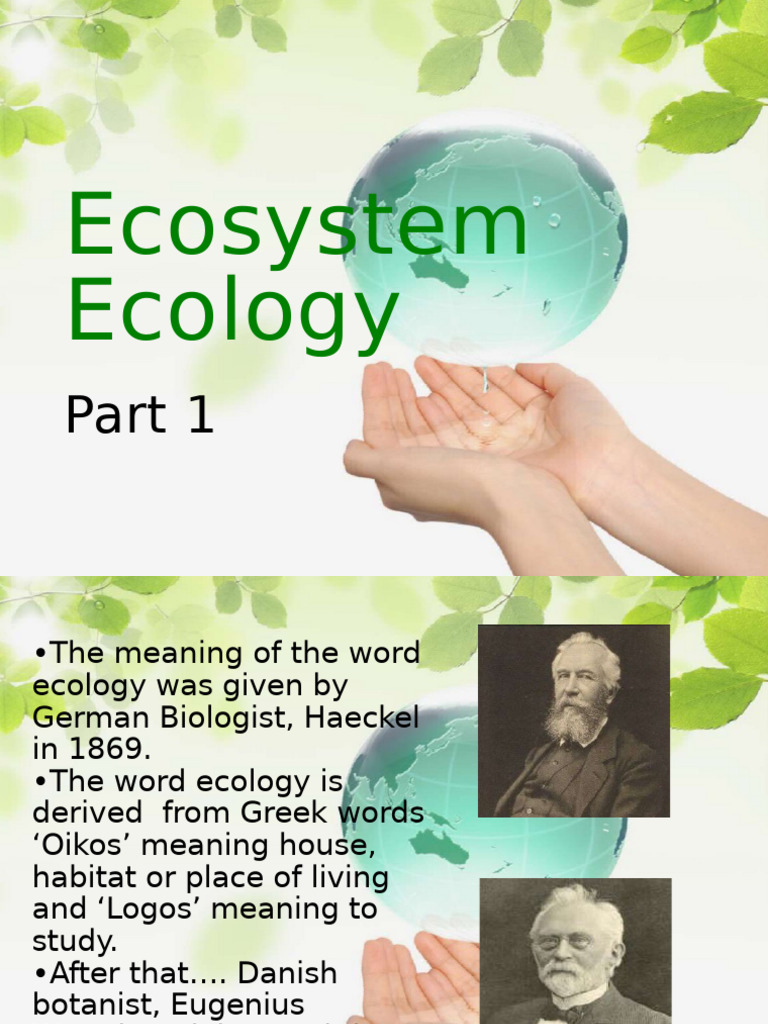 Ecosystem Ecology Part 1 | PDF | Ecosystem | Food Web