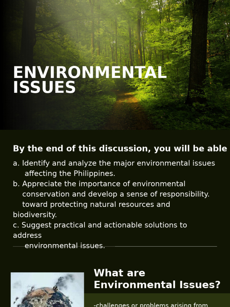 Group 3 Environmental Issues | PDF | Climate Change | Pollution