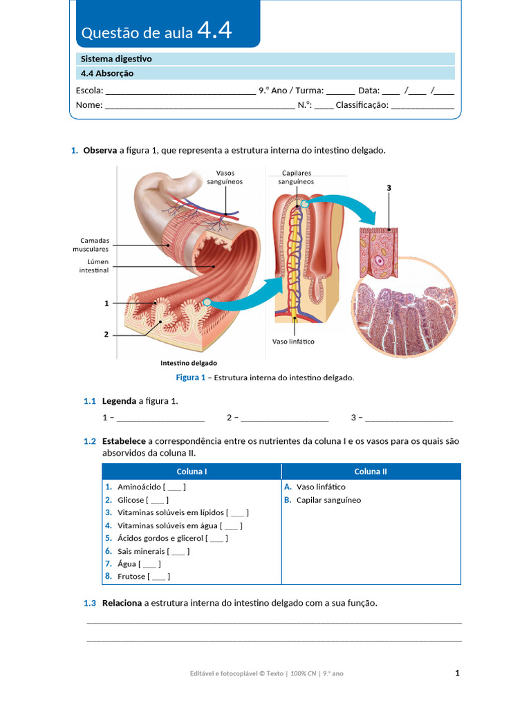 (2.6.11) 100%CN9 - (Questao - Aula - 4.4) | PDF