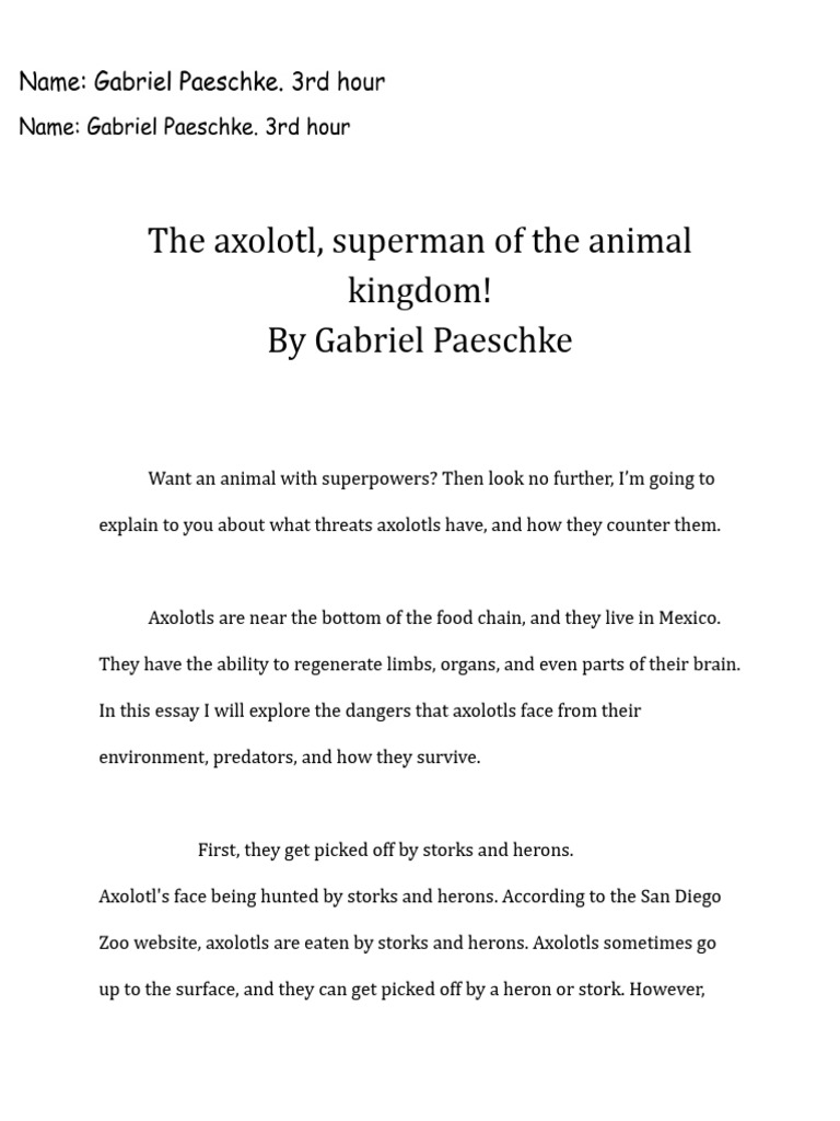 Axolotl 1 Pdf Zoology
