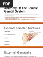 Anatomy of Womans Sex Organ | PDF | Labia | Clitoris