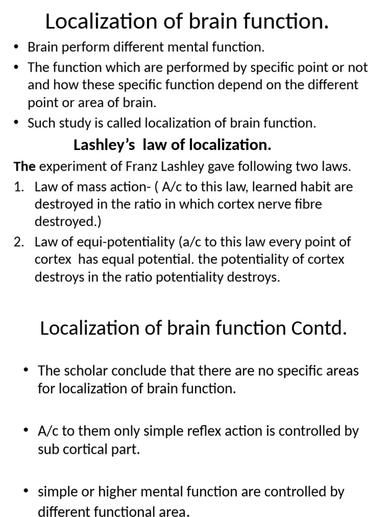 Brain Function Localization Insights | PDF