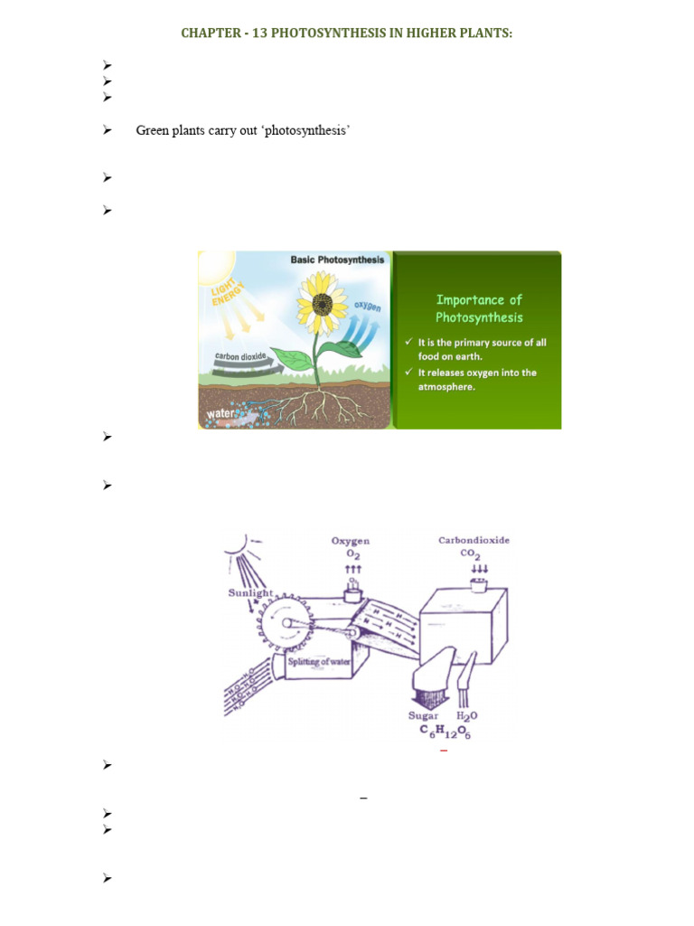 CH 13 Photosynthesis in Higher Plants - SUNDAR NOTES_PART_1_FINAL_21.01 ...