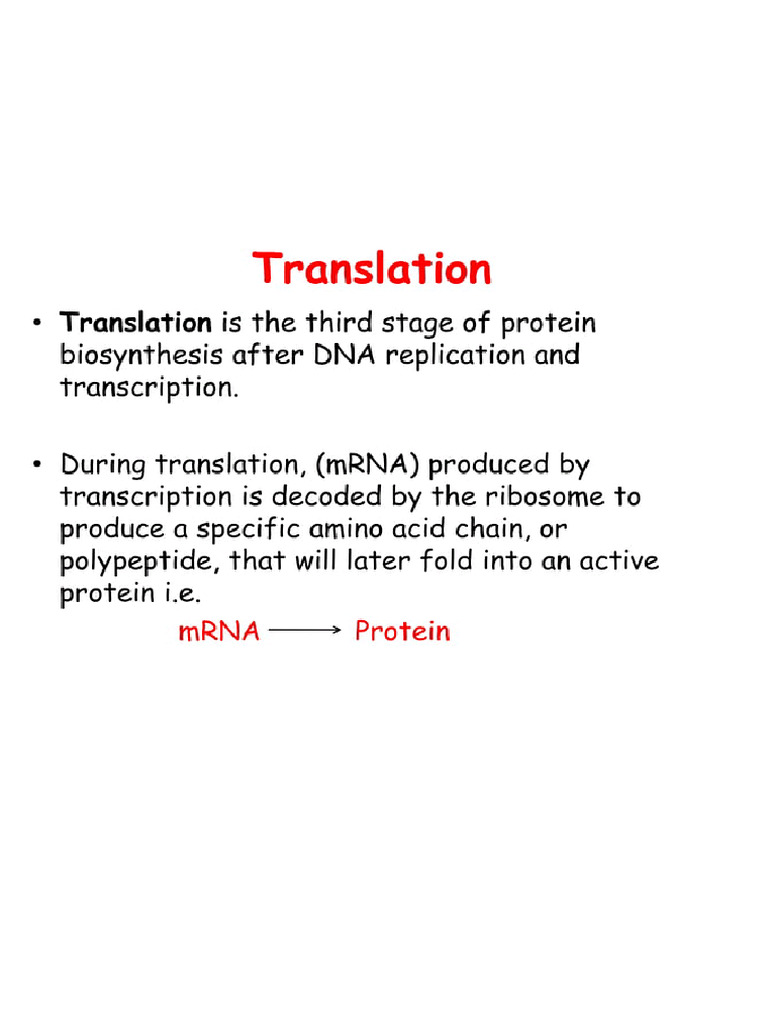Protein synthesis project | PDF