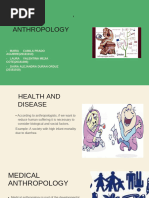 Explanatory Model Kleinman | PDF | Mental Disorder | Health Care