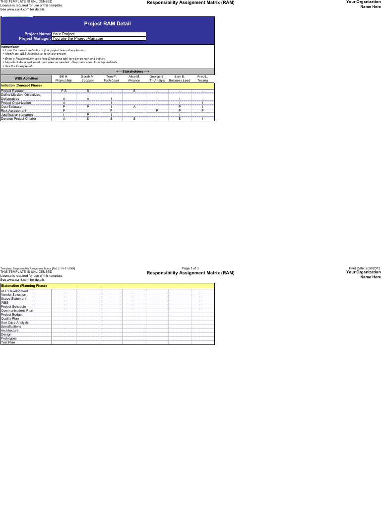 Project RAM Detail: Project Name: Project Manager | PDF