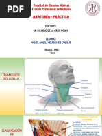 Musculos de La Nuca | PDF | Anatomía humana | Sistema musculoesquelético