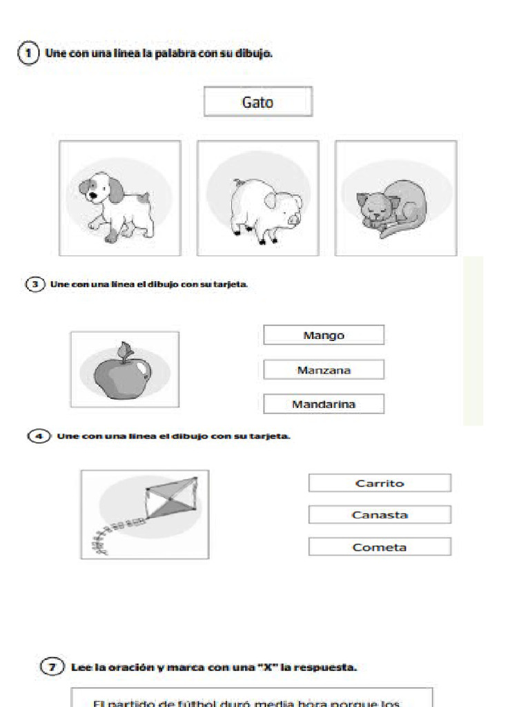 Evaluación De Comunicación Pdf