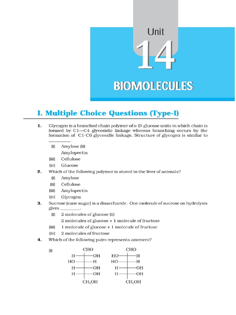 Biomolecule Exempler | PDF