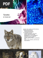 Tundra Food Chain Examples and Diagram | PDF | Foods | Ecology