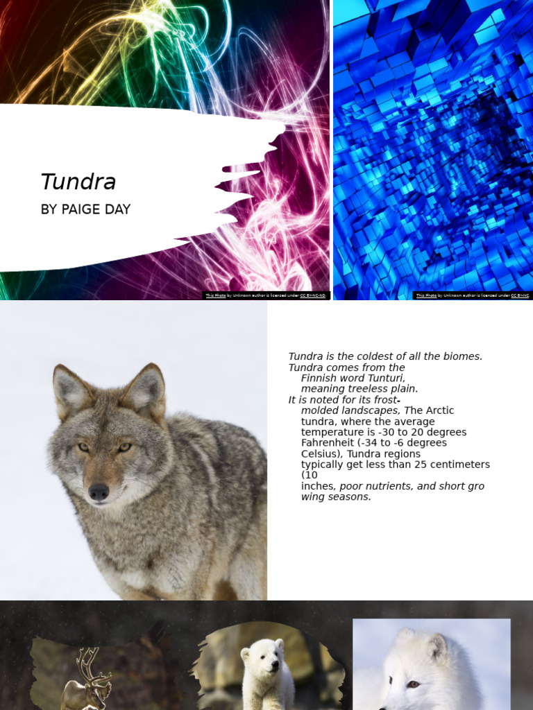 Tundra - Copy | PDF