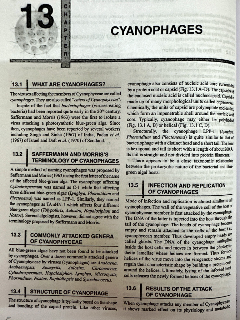 Cyano Phages Phy Co Viruses | PDF