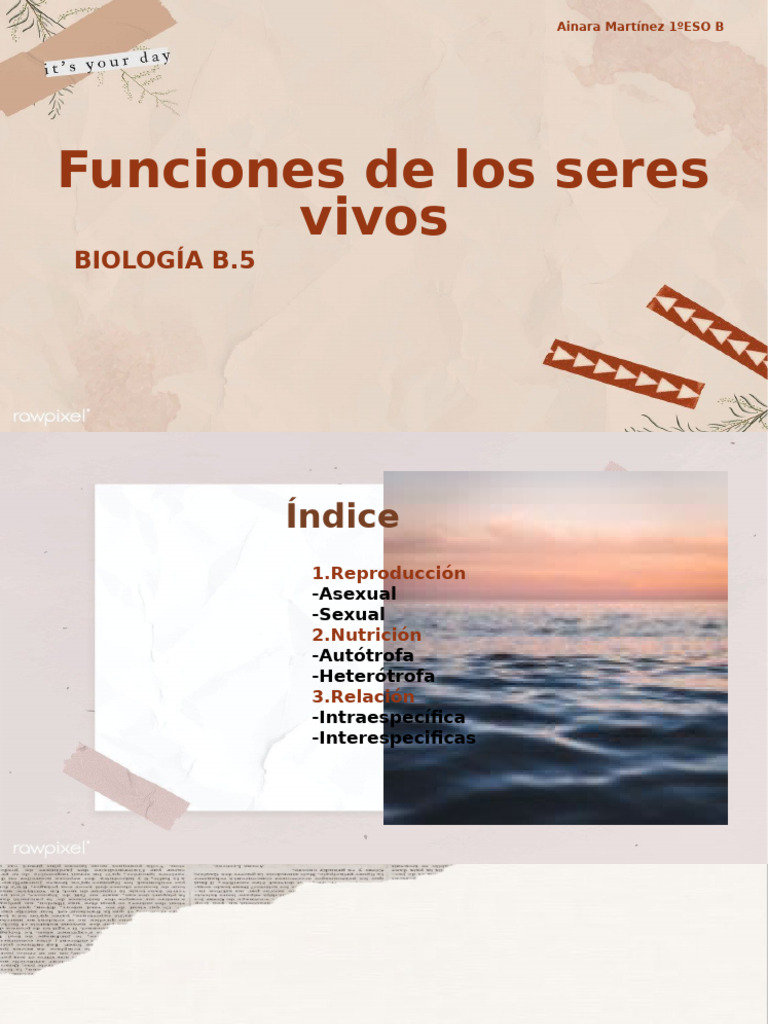 Funciones Vitales de los Seres Vivos | PDF