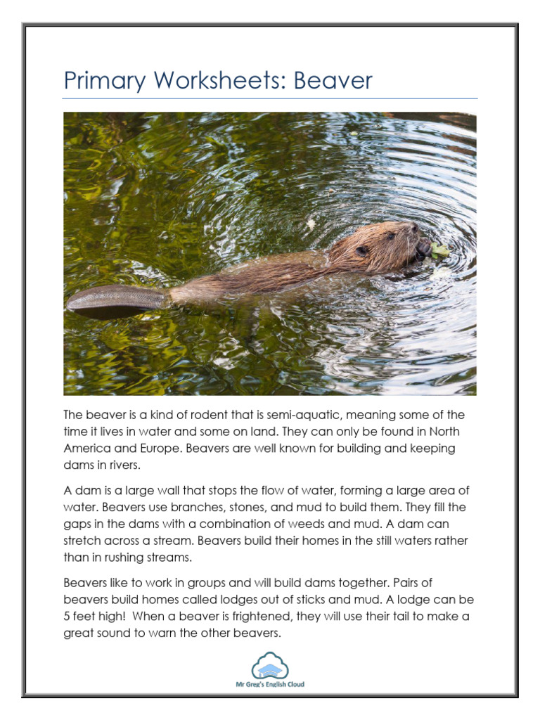 Beaver disc | PDF | Beaver | Zoology