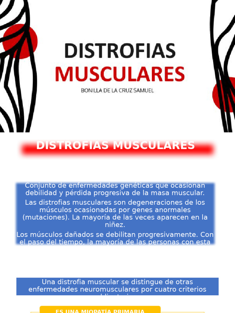 Distrofias Musculares: Tipos y Tratamientos | PDF | Enfermedades y ...