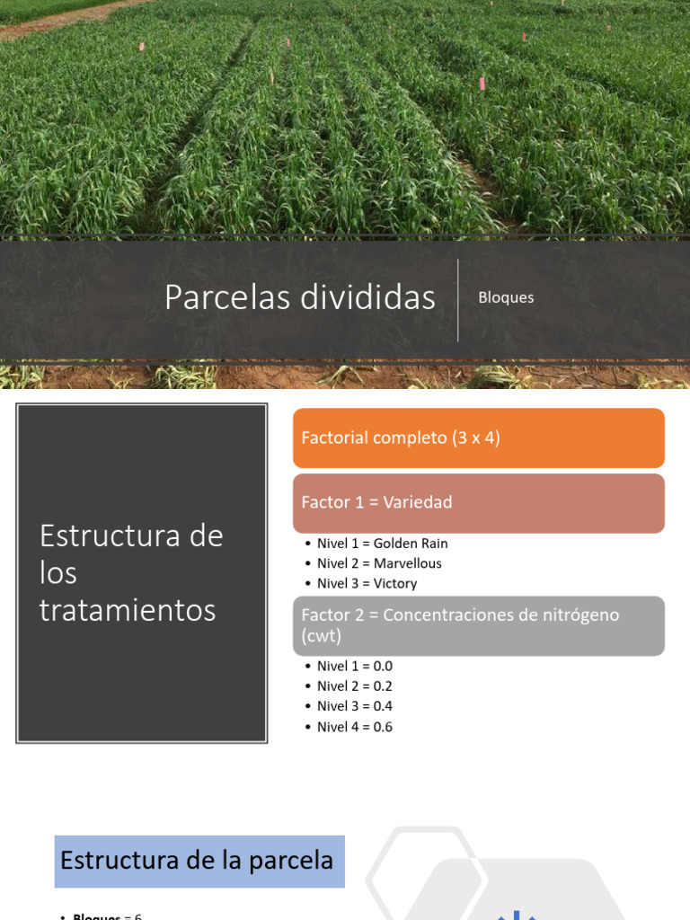 Parcelas Divididas (Oats) | PDF | Análisis estadístico | Enseñanza de ...