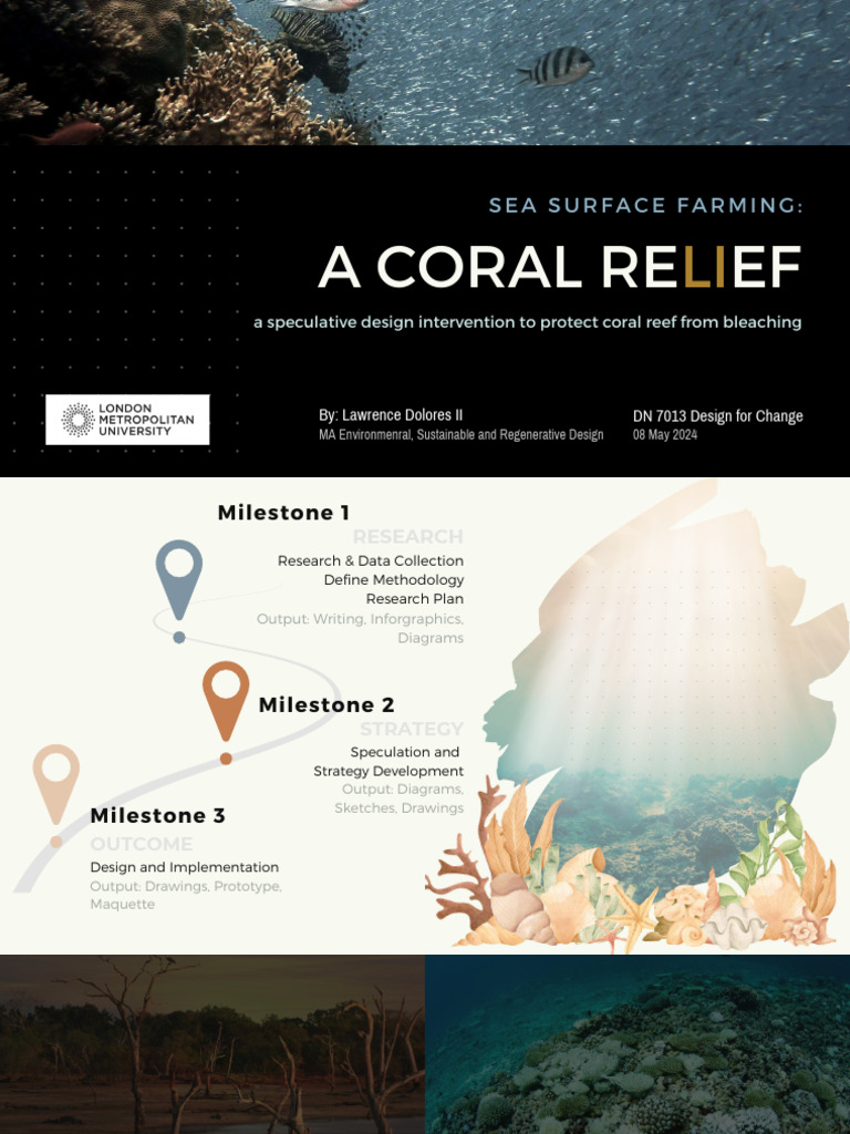 Sea Surface Farming A Coral Relief | PDF | Coral Reef | Coral