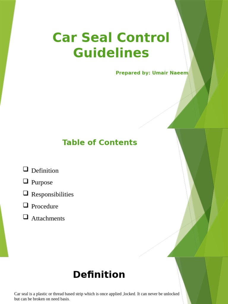 Car Seal Control Guidelines for Safety | PDF