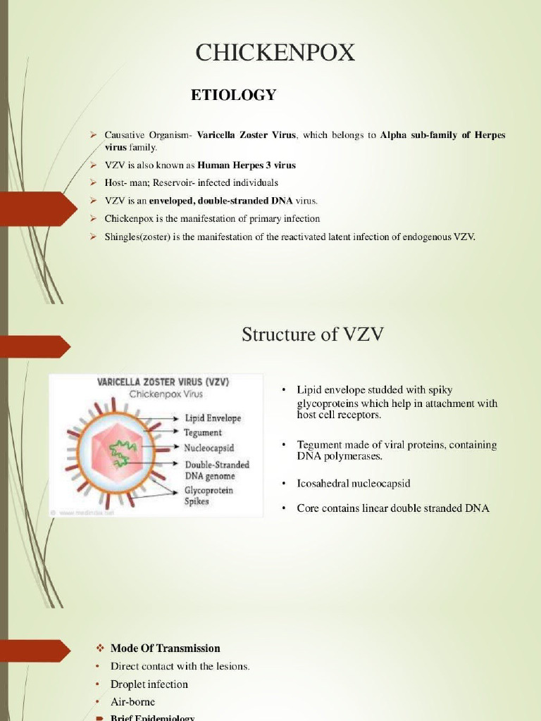 3 chickenpox-pathophysiology (1) | PDF