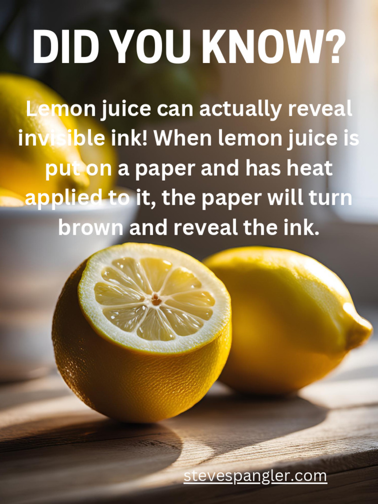 National Treasure | PDF