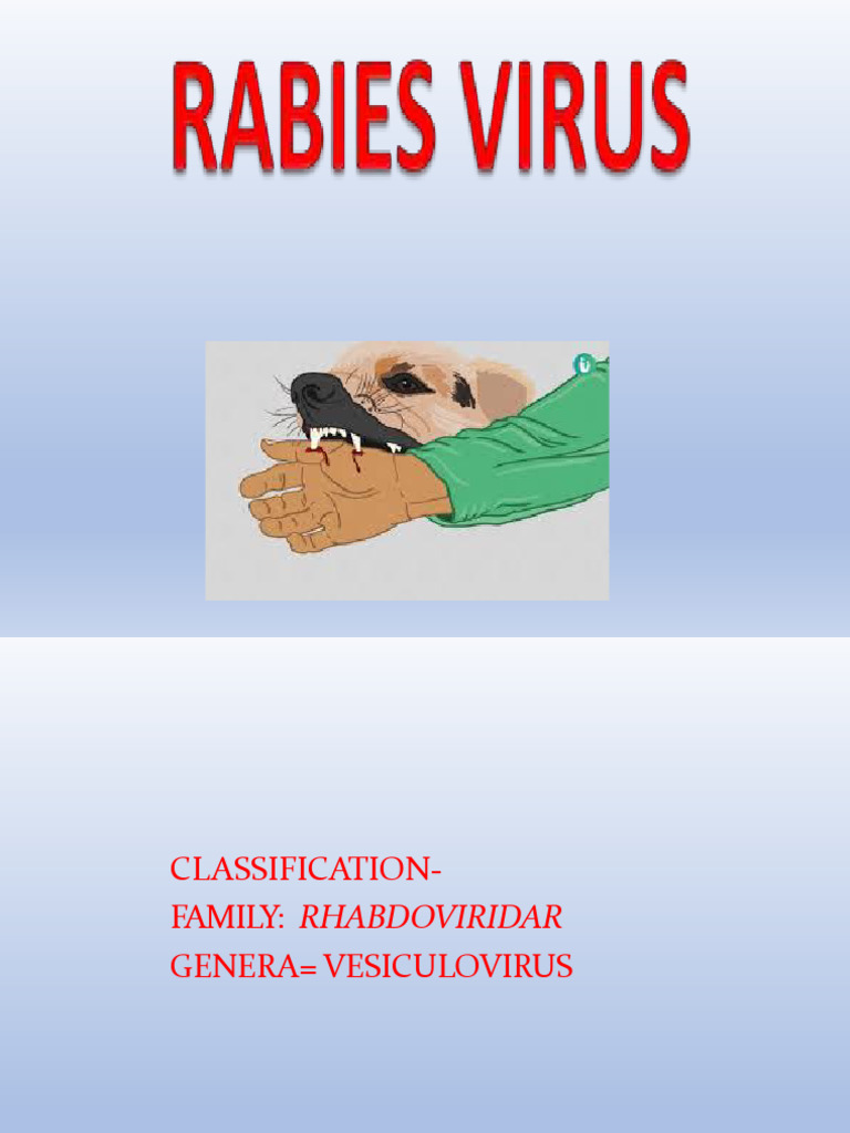 10 Rabies | PDF | Rabies | Virus