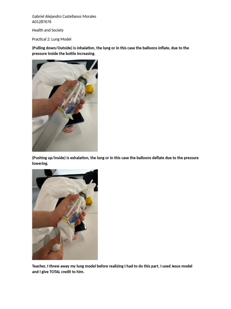 Lung Model Experiment Analysis | PDF