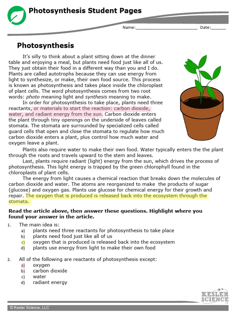 JESSE SMITH - Photosynthesis Packet | PDF | Photosynthesis | Plants
