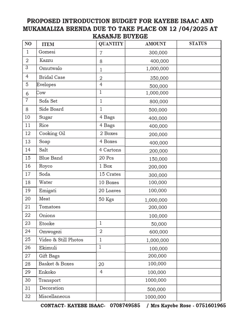 Proposed Introduction Budget New 3 | PDF