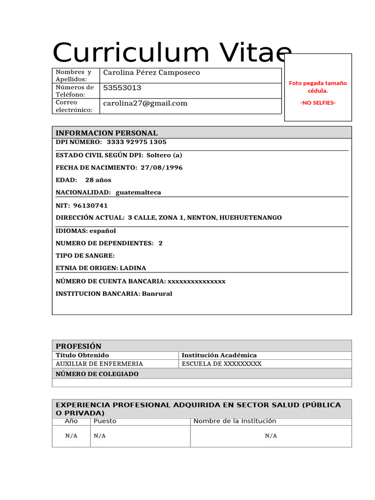Curriculum Vitae 2025 MODELO | PDF