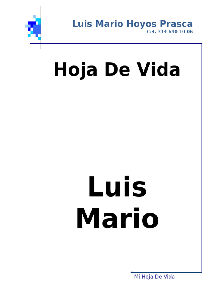 Hoja de Vida LUIS HOYOS | PDF