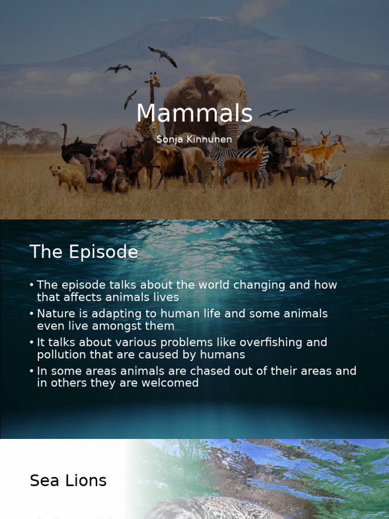 Mammals | PDF